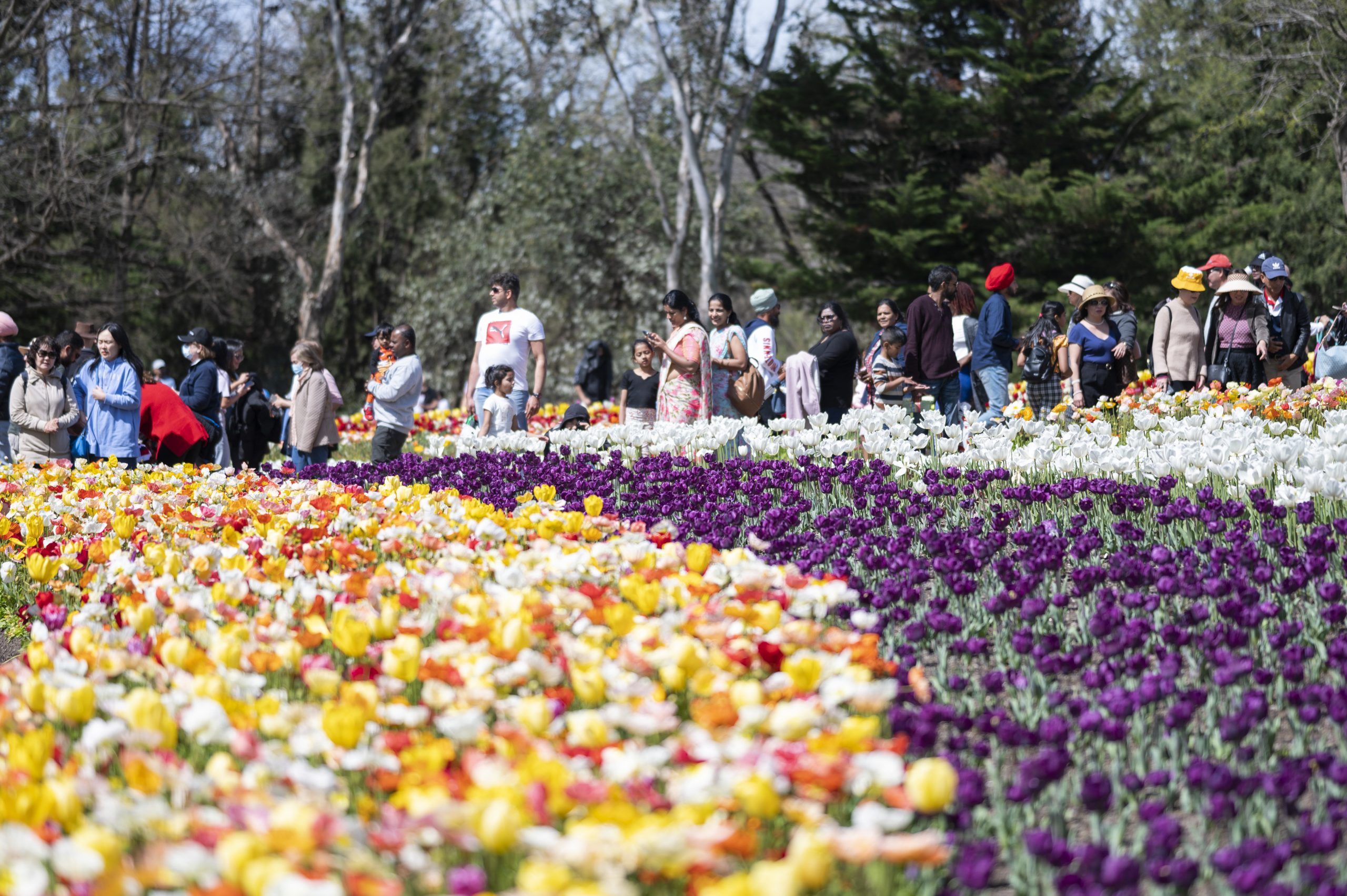 Floriade