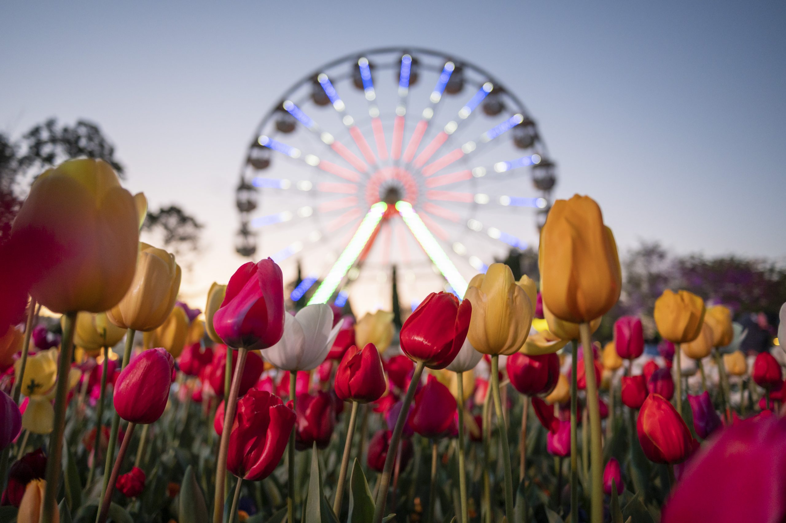 Floriade