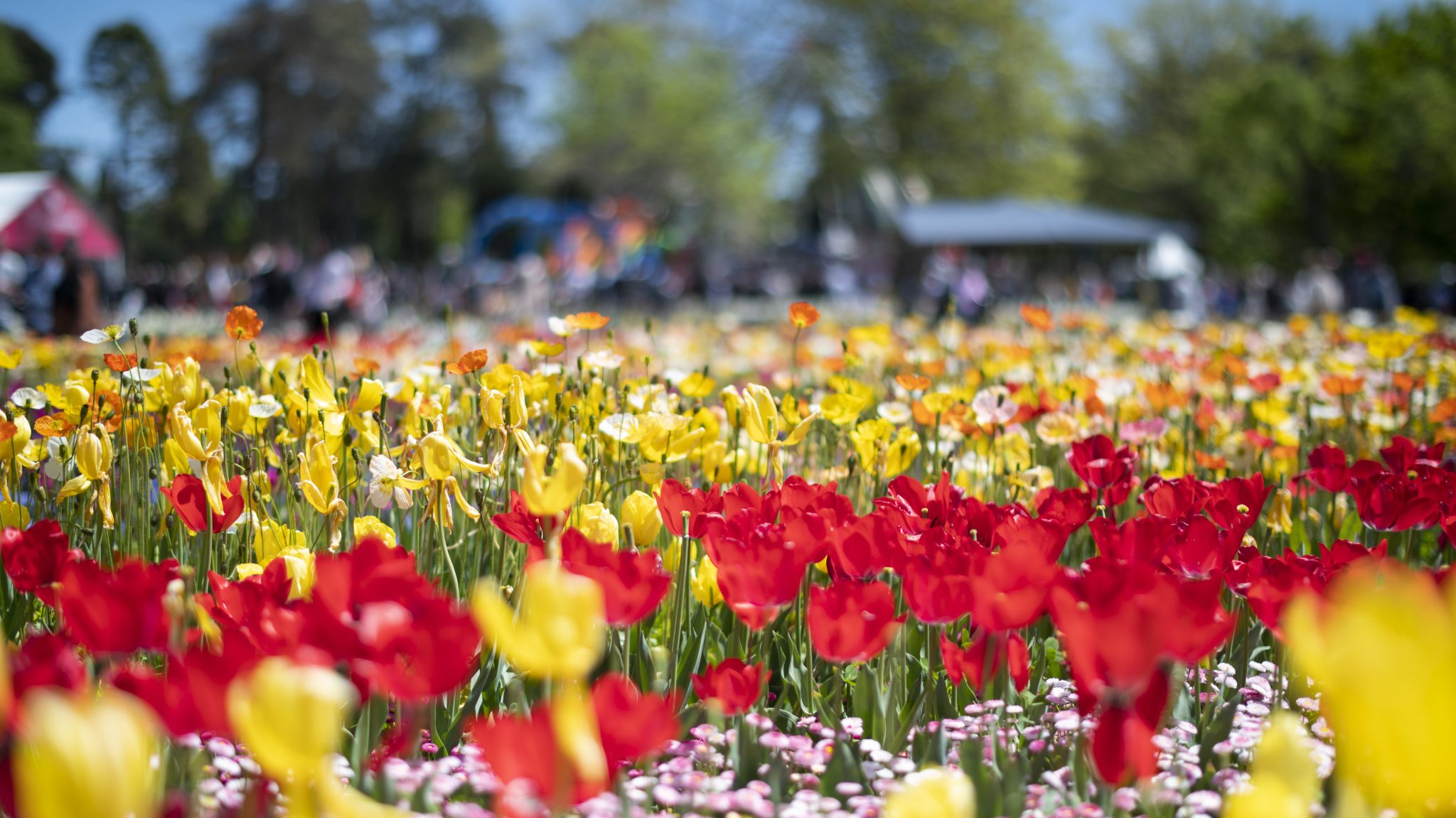 Floriade